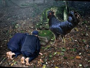 Ma gà là gì? Cách nuôi ma gà như thế nào của người dân tộc